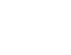 SARULLA OPERATIONS LTD - Medco Power Indonesia